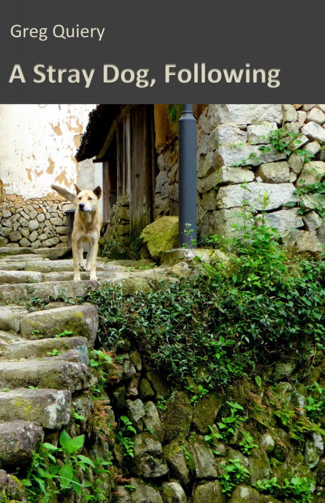 A Stray Dog, Following – Stairwell Books